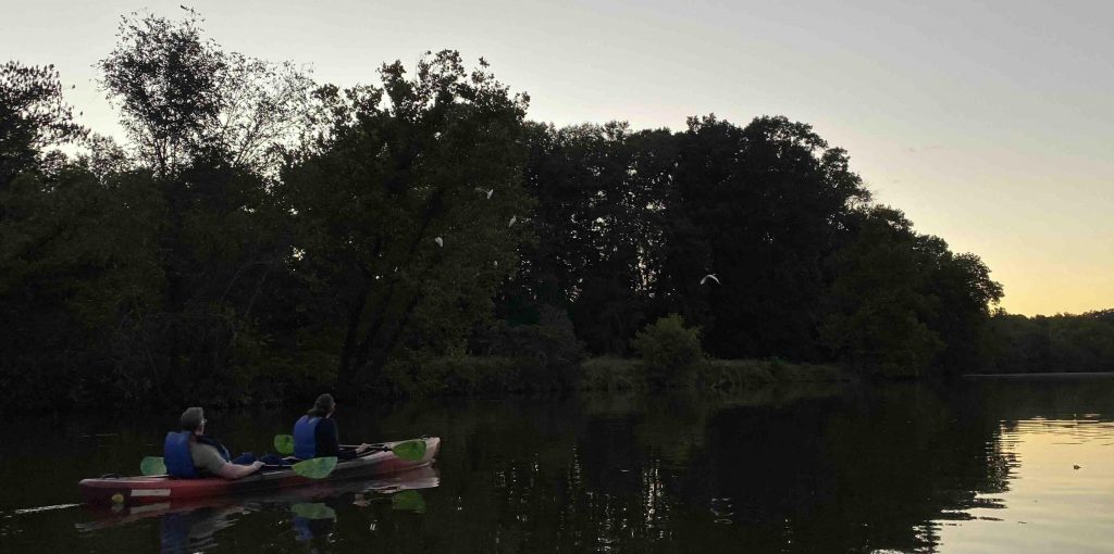 Haw River Canoe & Kayak How to Spot Wildlife While Paddling | Haw River ...